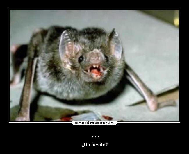 Imágenes y Carteles de BESITO Pag. 25 | Desmotivaciones
