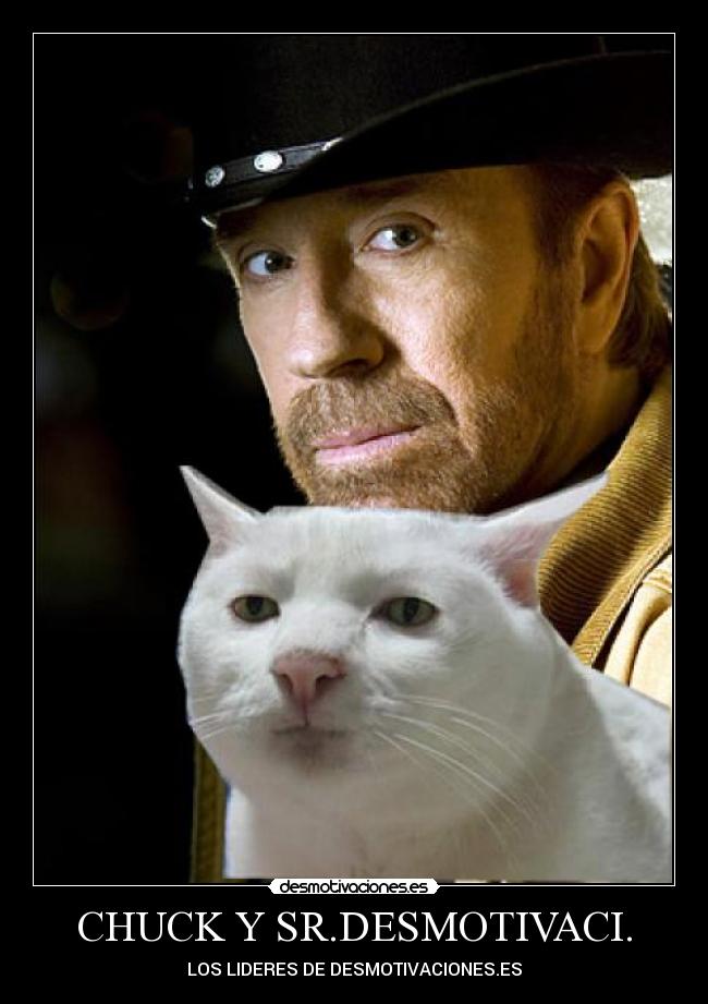 CHUCK Y SR.DESMOTIVACI. | Desmotivaciones