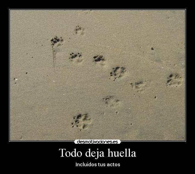 Todo deja huella | Desmotivaciones