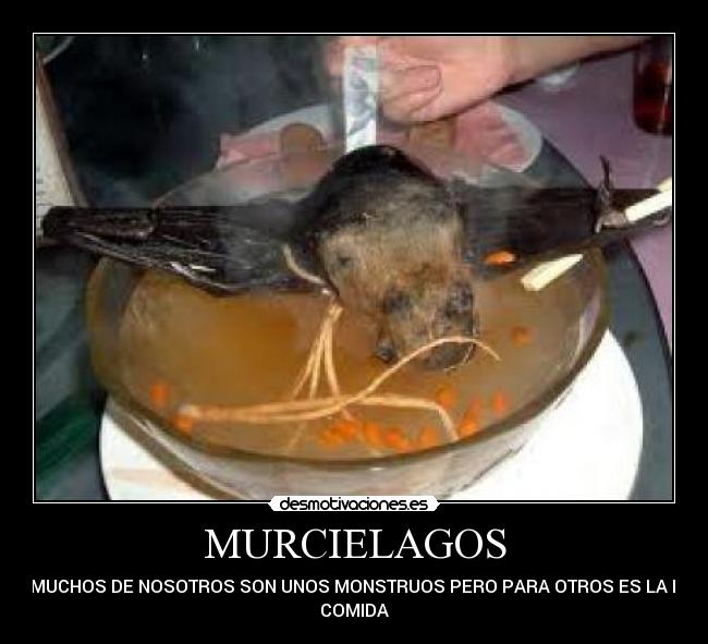 Imágenes y Carteles de MURCIELAGOS Pag. 6 | Desmotivaciones