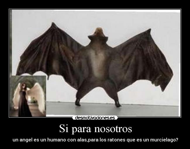 Si para nosotros | Desmotivaciones