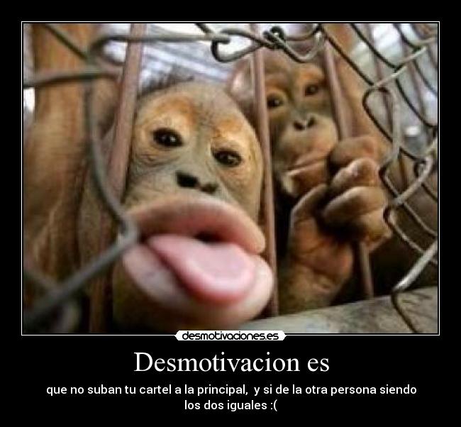 Desmotivacion es | Desmotivaciones