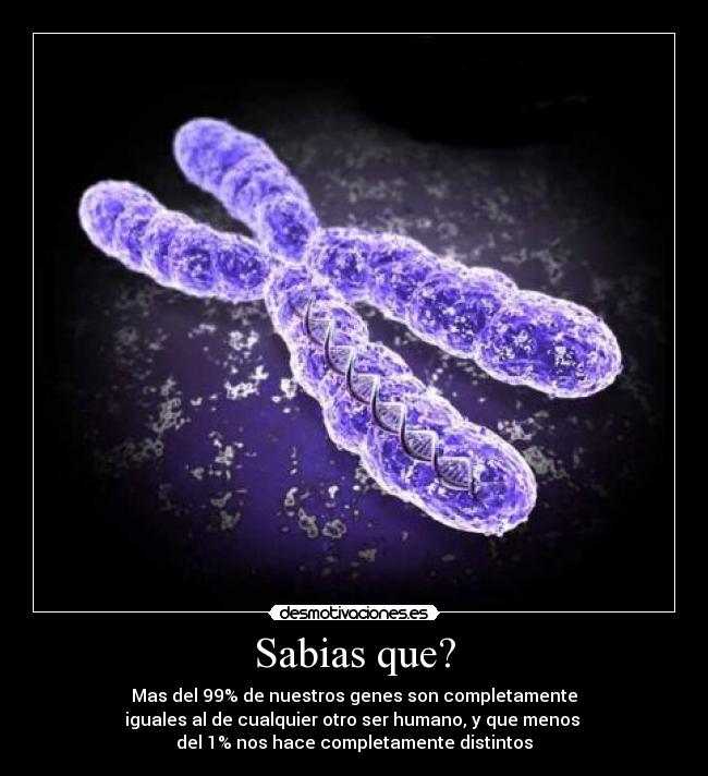 Imágenes y Carteles de GENES | Desmotivaciones