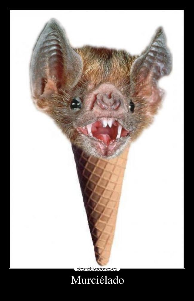 Imágenes y Carteles de MURCIELAGO Pag. 18 | Desmotivaciones