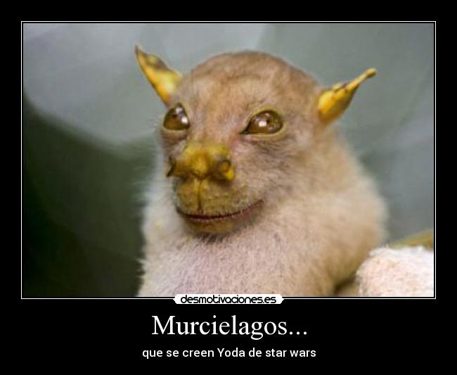 Murcielagos... | Desmotivaciones