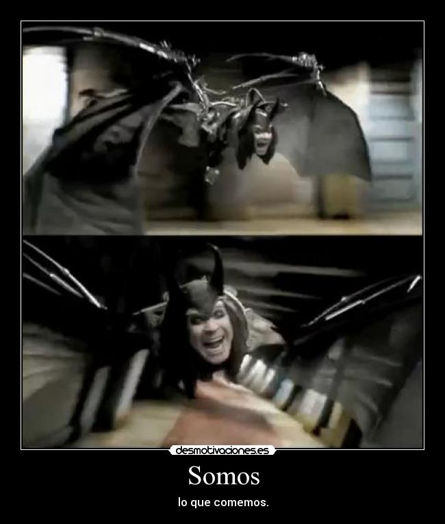 Imágenes y Carteles de MURCIELAGO Pag. 14 | Desmotivaciones