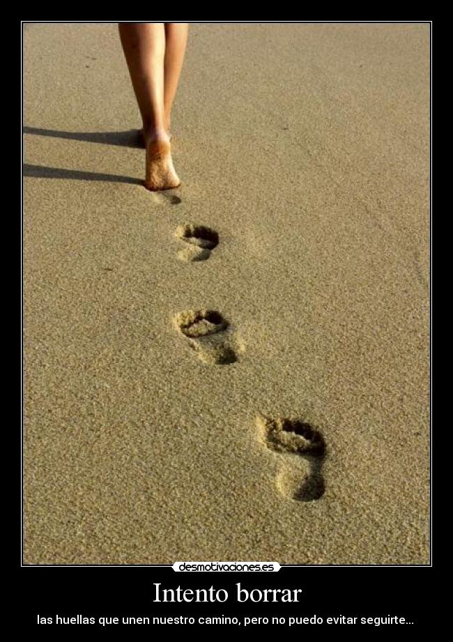 Imágenes y Carteles de HUELLAS Pag. 11 | Desmotivaciones