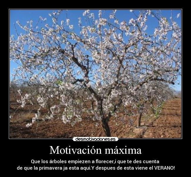 Motivación máxima | Desmotivaciones