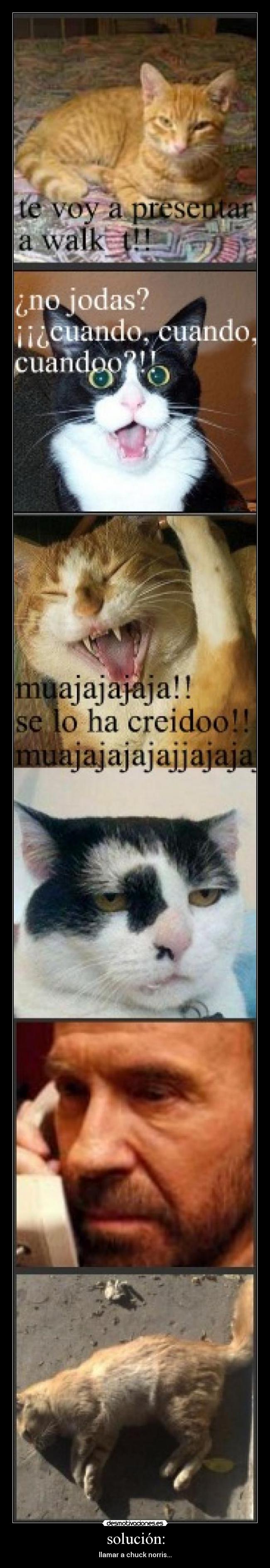 Imágenes y Carteles de SOLUCION Pag. 152 | Desmotivaciones