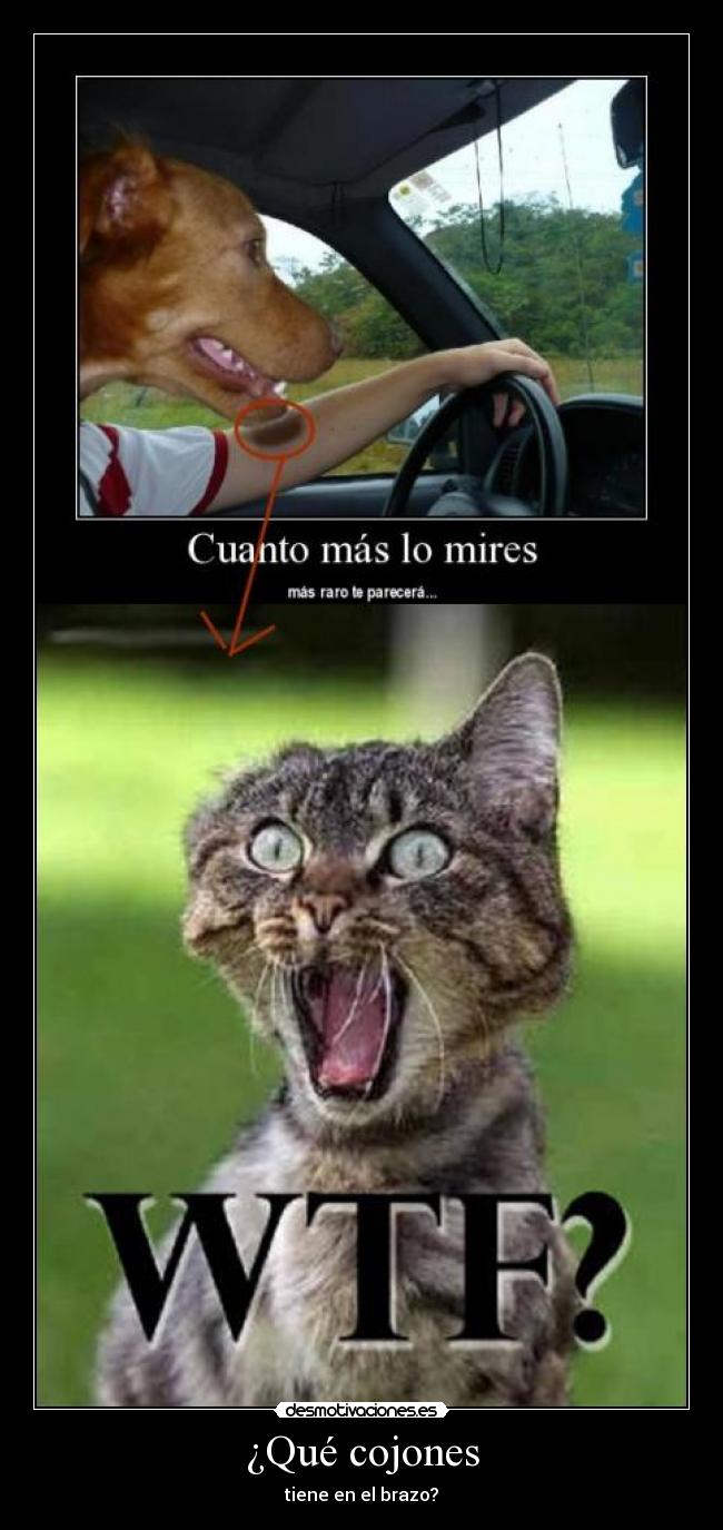 Usuario: Aleex | Desmotivaciones