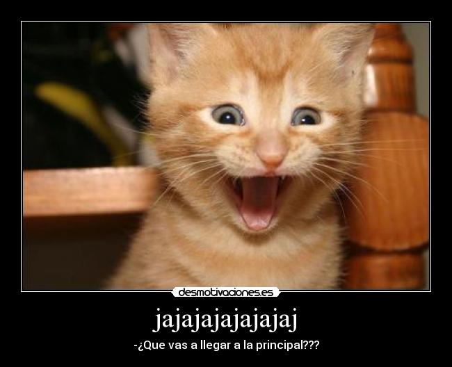 jajajajajajajaj | Desmotivaciones