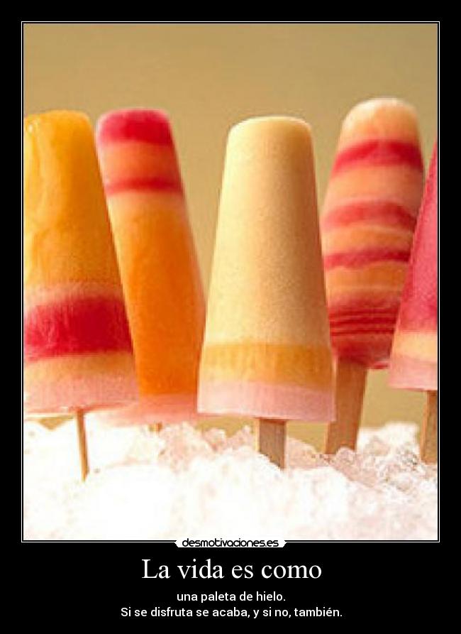 Imágenes y Carteles de PALETA Pag. 3 | Desmotivaciones