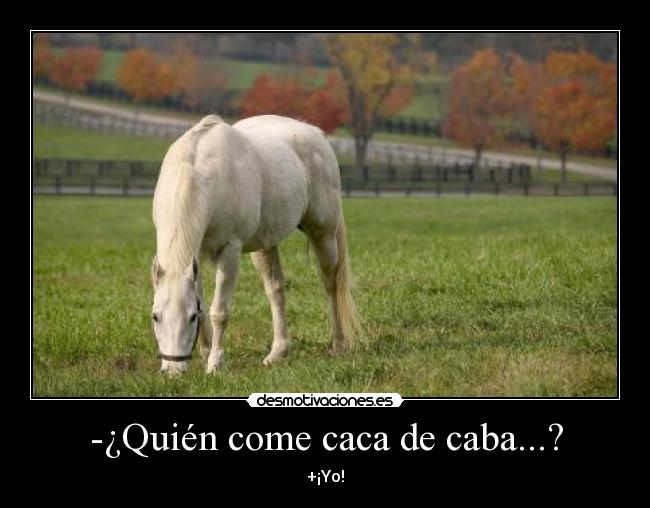 -¿Quién come caca de caba...? | Desmotivaciones