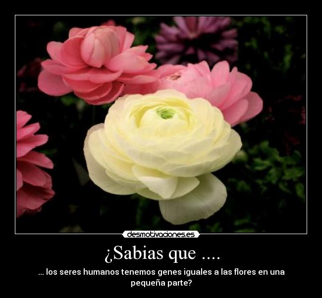 Imágenes y Carteles de GENES | Desmotivaciones