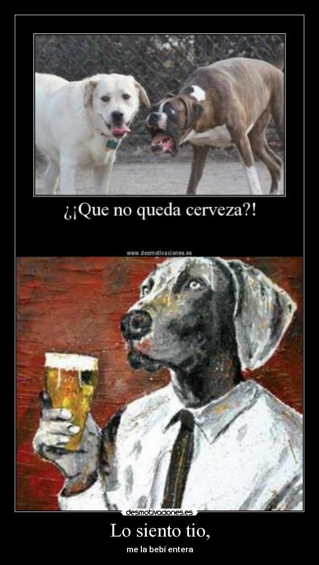 Usuario: Aleex | Desmotivaciones