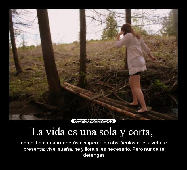 La vida es una sola y corta, | Desmotivaciones