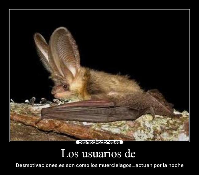 Imágenes y Carteles de MURCIELAGO Pag. 14 | Desmotivaciones