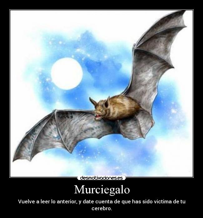 Imágenes y Carteles de MURCIELAGO Pag. 14 | Desmotivaciones
