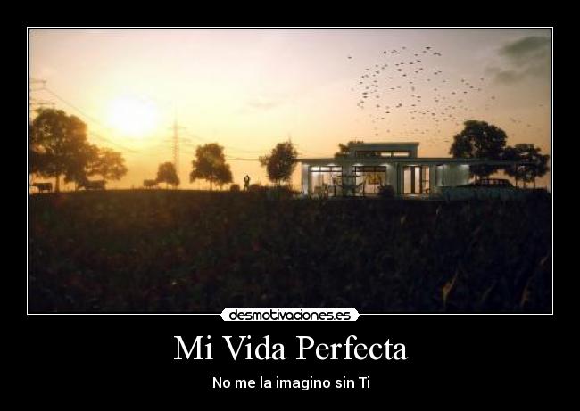 Mi Vida Perfecta | Desmotivaciones