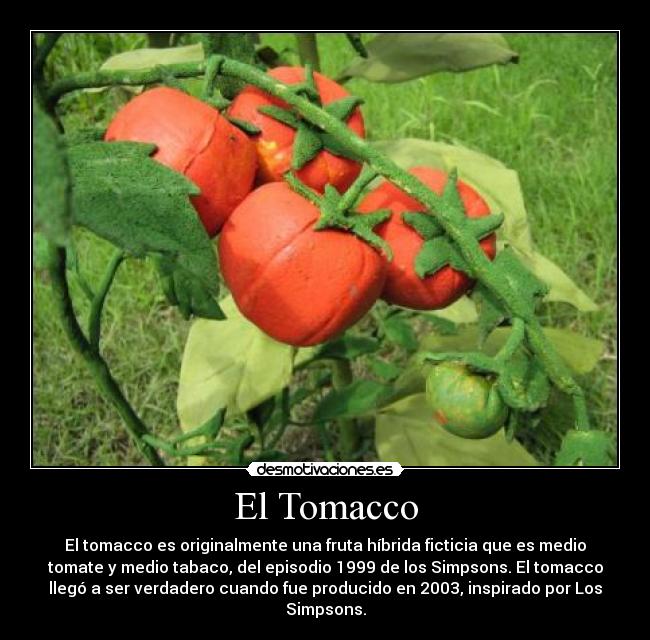 Imágenes y Carteles de TOMACCO | Desmotivaciones
