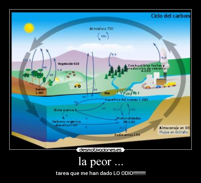 Imágenes y Carteles de DESMOTIVACIONES Pag. 14750 | Desmotivaciones