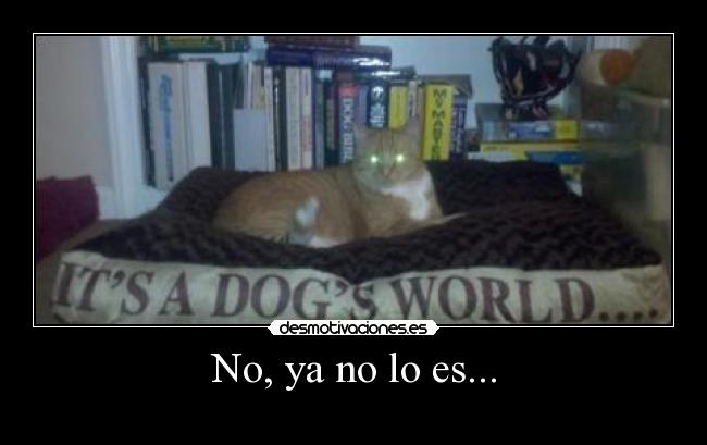 Imágenes y Carteles de GRACIOSAS Pag. 3 | Desmotivaciones