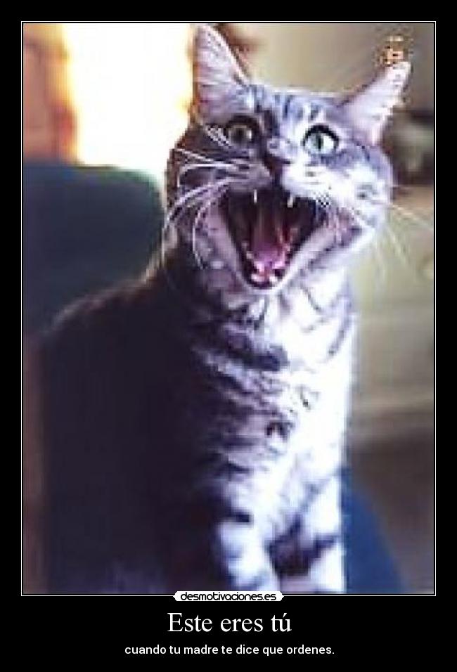 Usuario: Elsona | Desmotivaciones