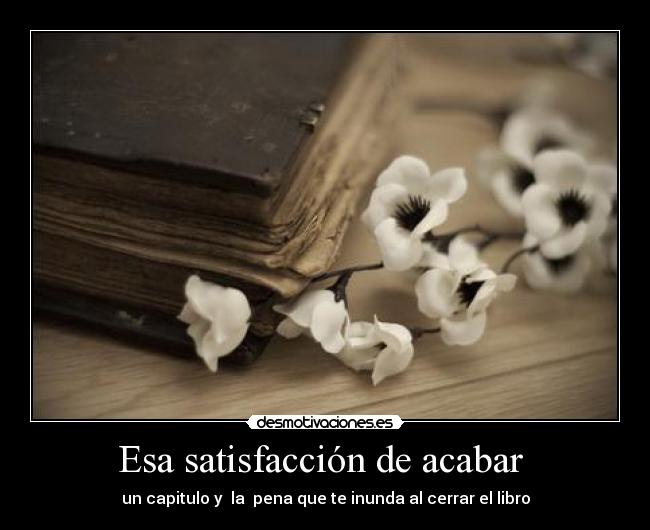 Imágenes y Carteles de SATISFACCION Pag. 4 | Desmotivaciones