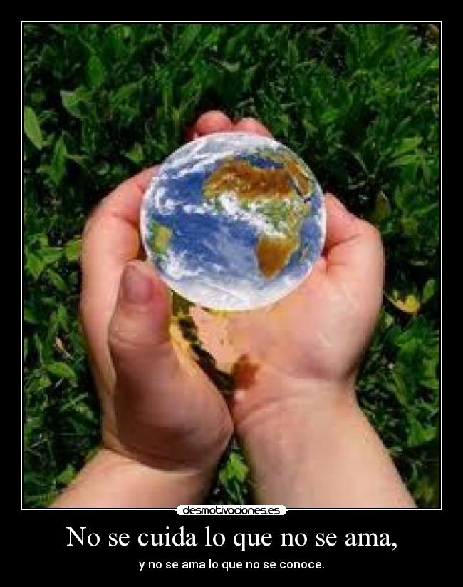 Imágenes y Carteles de CUIDA Pag. 33 | Desmotivaciones