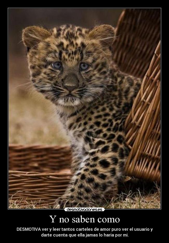 Imágenes y Carteles de DESNUDA Pag. 10 | Desmotivaciones