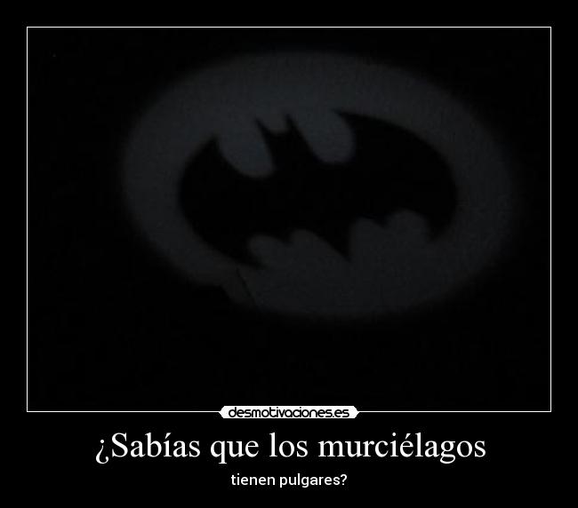 Imágenes y Carteles de MURCIELAGOS Pag. 3 | Desmotivaciones