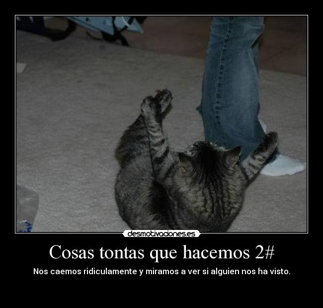 Usuario: Walt_Kitty | Desmotivaciones