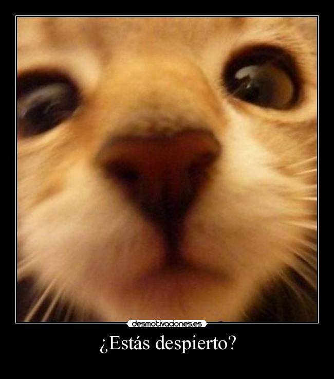 Imágenes y Carteles de GRACIOSAS Pag. 7 | Desmotivaciones