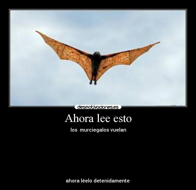 Imágenes y Carteles de MURCIELAGOS | Desmotivaciones