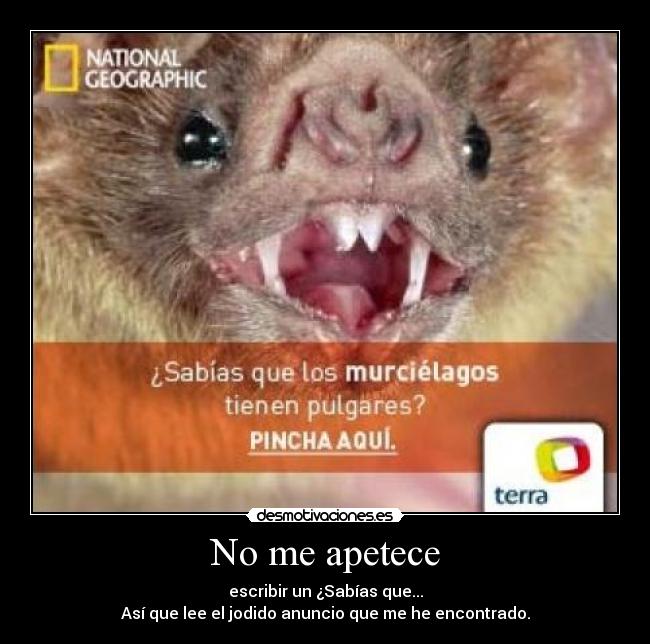 Imágenes y Carteles de MURCIELAGOS | Desmotivaciones