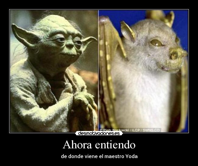 Imágenes y Carteles de MURCIELAGO Pag. 12 | Desmotivaciones