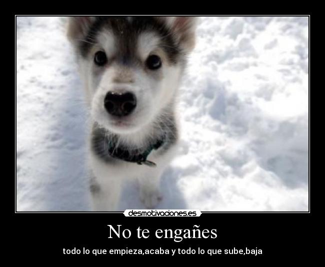 Imágenes y Carteles de EMPEZAR Pag. 89 | Desmotivaciones