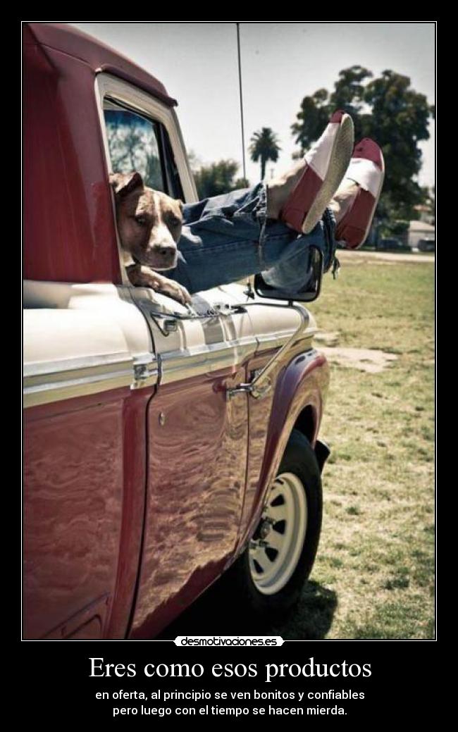 Imágenes y Carteles de DESMOTIVACIO | Desmotivaciones