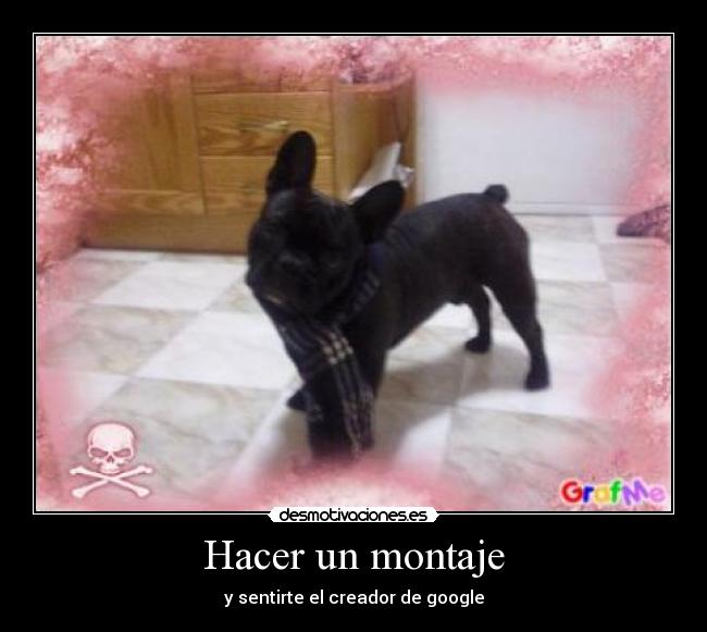 Usuario: laura.xd | Desmotivaciones