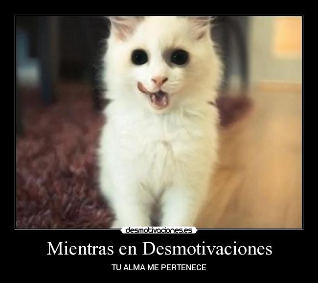 Mientras en Desmotivaciones | Desmotivaciones
