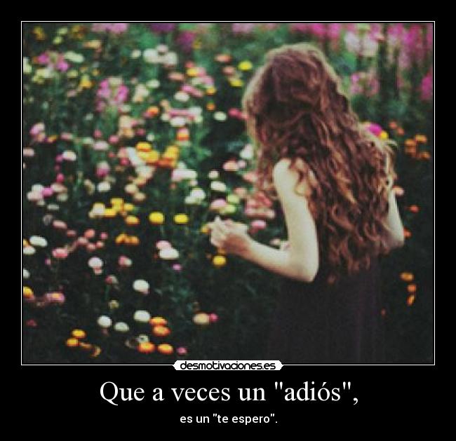 Imágenes y Carteles de DESMOTIVADA1807 Pag. 44 | Desmotivaciones