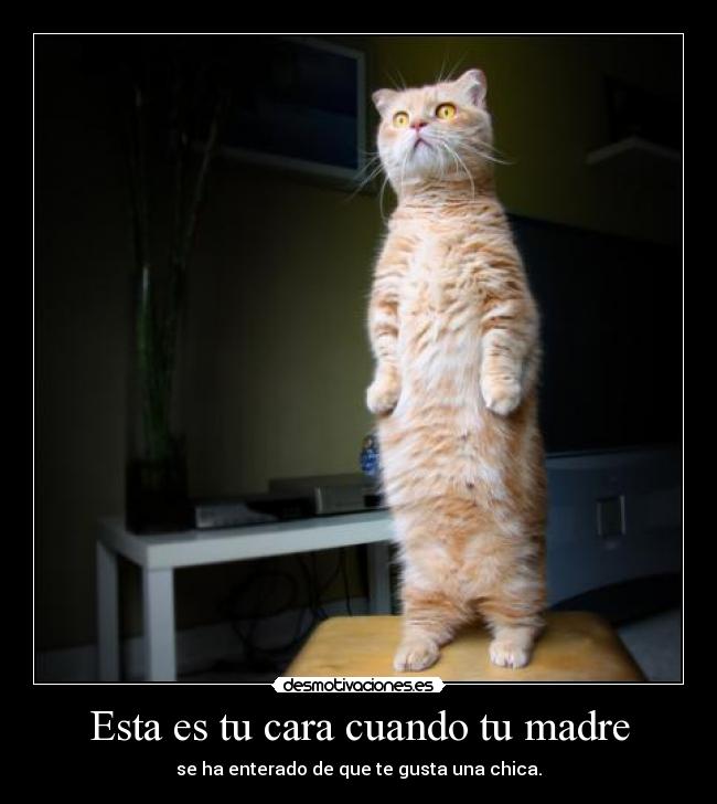 Esta es tu cara cuando tu madre | Desmotivaciones