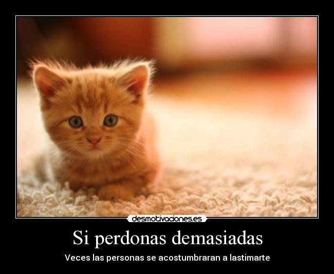 Usuario: Danais | Desmotivaciones