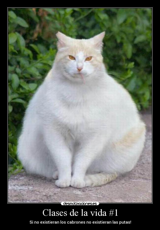 Imágenes y Carteles de DESMOTIVACIONES Pag. 13616 | Desmotivaciones