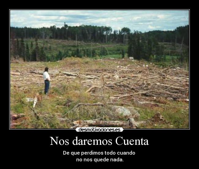 Tala de arboles - Imagui