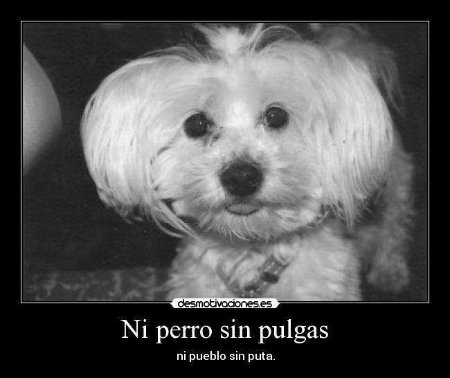 Imágenes y Carteles de DESMOTIVADA1807 Pag. 11 | Desmotivaciones