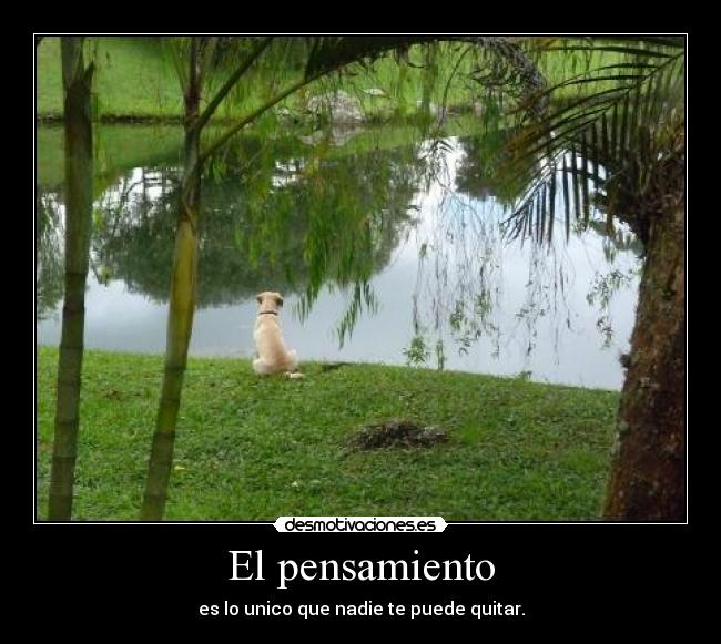 El pensamiento | Desmotivaciones