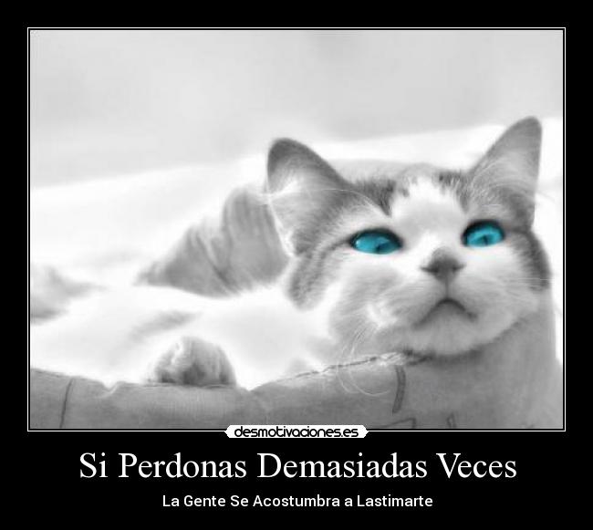 Si Perdonas Demasiadas Veces | Desmotivaciones