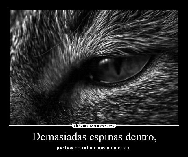 Demasiadas espinas dentro, | Desmotivaciones