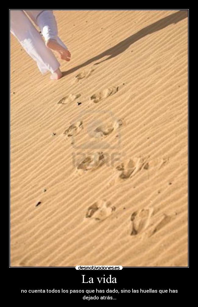 Imágenes y Carteles de HUELLAS Pag. 48 | Desmotivaciones